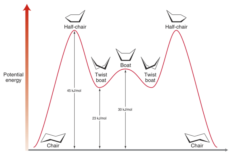 How to understand the half-chair conformation of cyclohexane ...